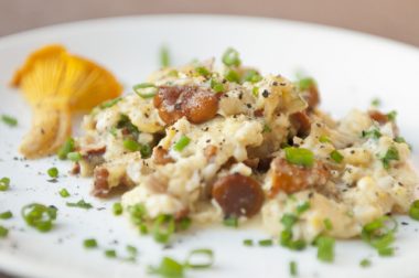 Receta de revuelto de setas con huevo - Unareceta.com